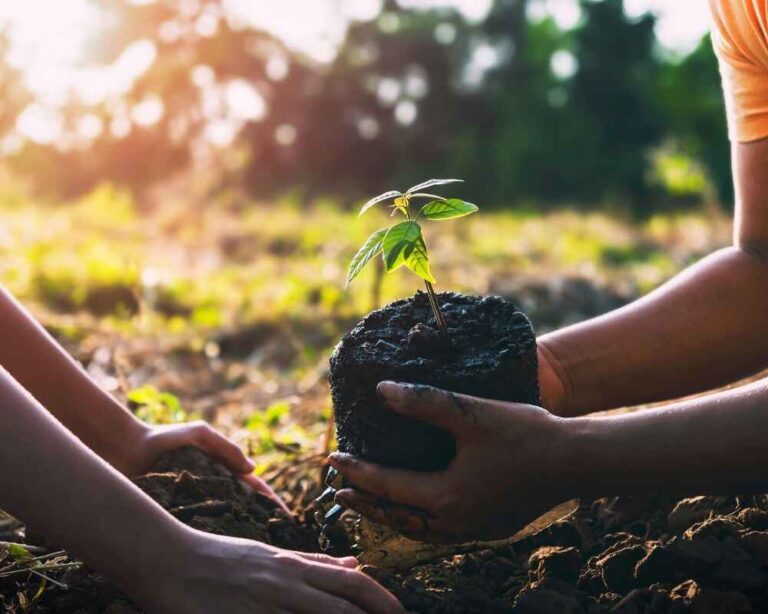 Sustainability at Monolithisch – Eco-Friendly Manufacturing